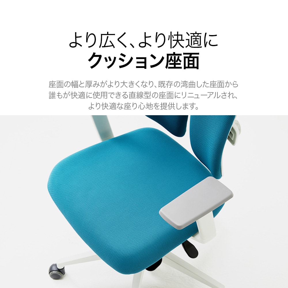 【日本独占販売】デュオバック D2500G-DASW ホームオフィスチェア 人間工学椅子 パソコンチェア ゲーミングチェア 肘付き ヘッドレスト リクライニング DUOBACK 正規品 韓国