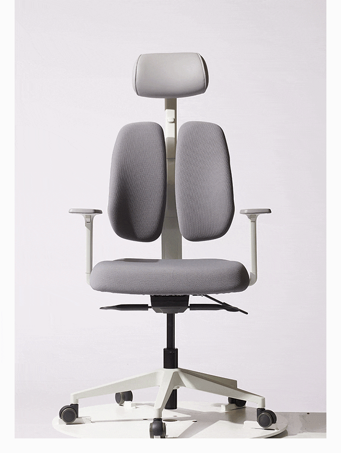 【日本独占販売】デュオバック D2500G-DASW ホームオフィスチェア 人間工学椅子 パソコンチェア ゲーミングチェア 肘付き ヘッドレスト リクライニング DUOBACK 正規品 韓国