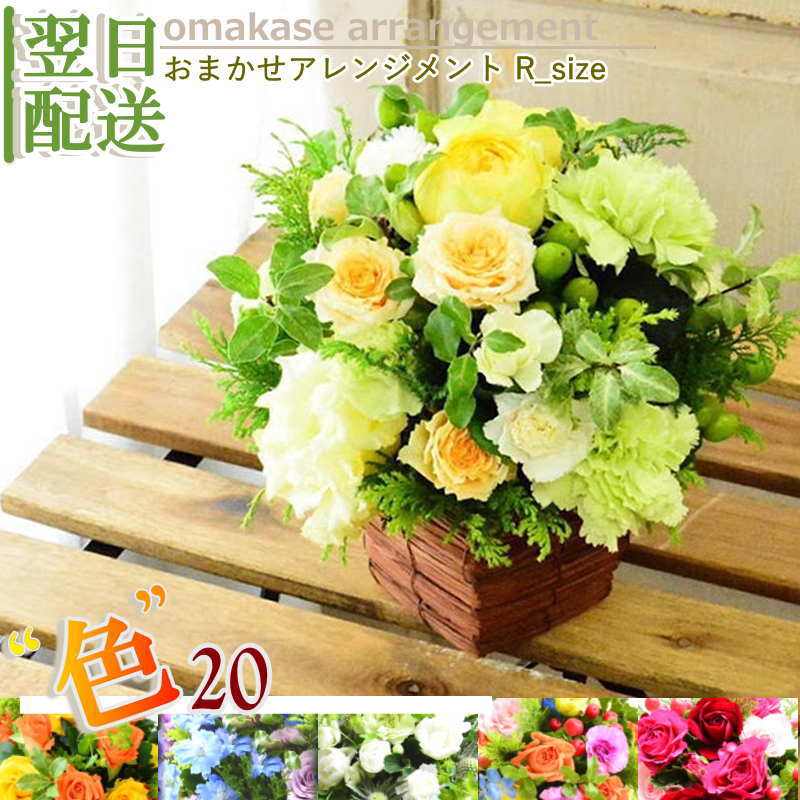 おまかせフラワーアレンジメント ラウンドスタイル regular_size | 誕生日 | KAMOE