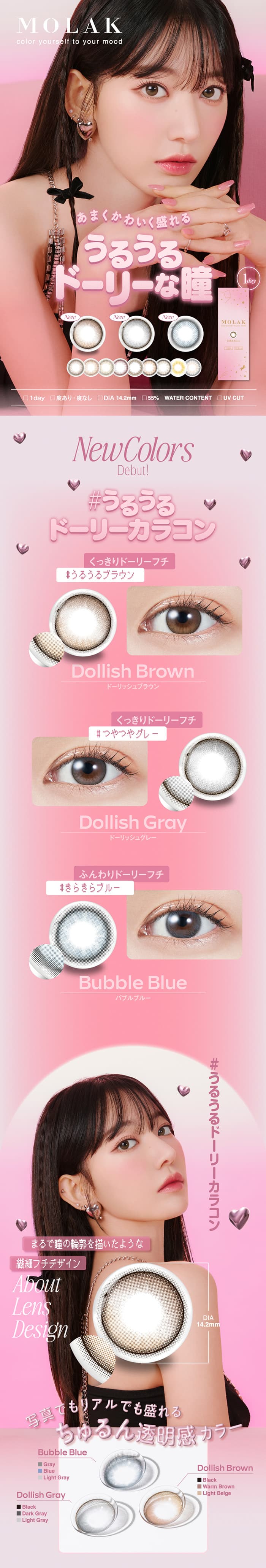 MOLAK1day(モラクワンデー)商品一覧