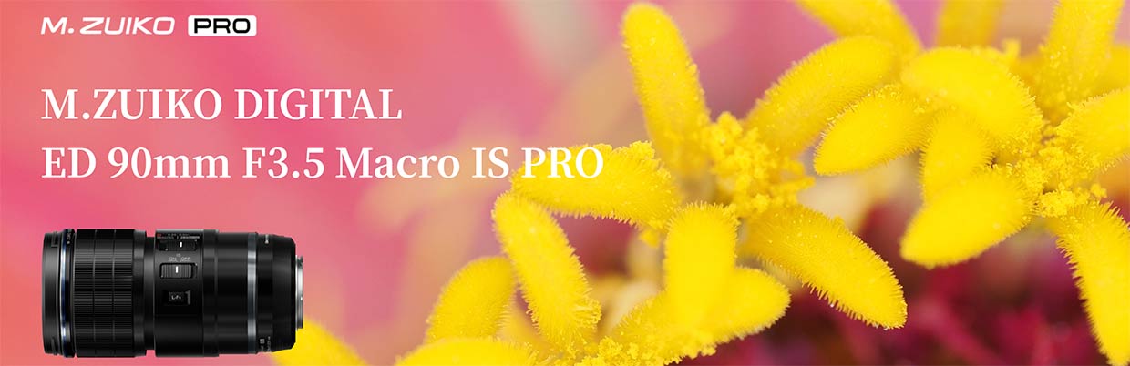 [3年保険付]OMデジタルソリューションズ OLYMPUS M.ZUIKO DIGITAL ED 90mm F3.5 MACRO IS PRO『即納可能』換算画角180mmマイクロフォーサーズ ...