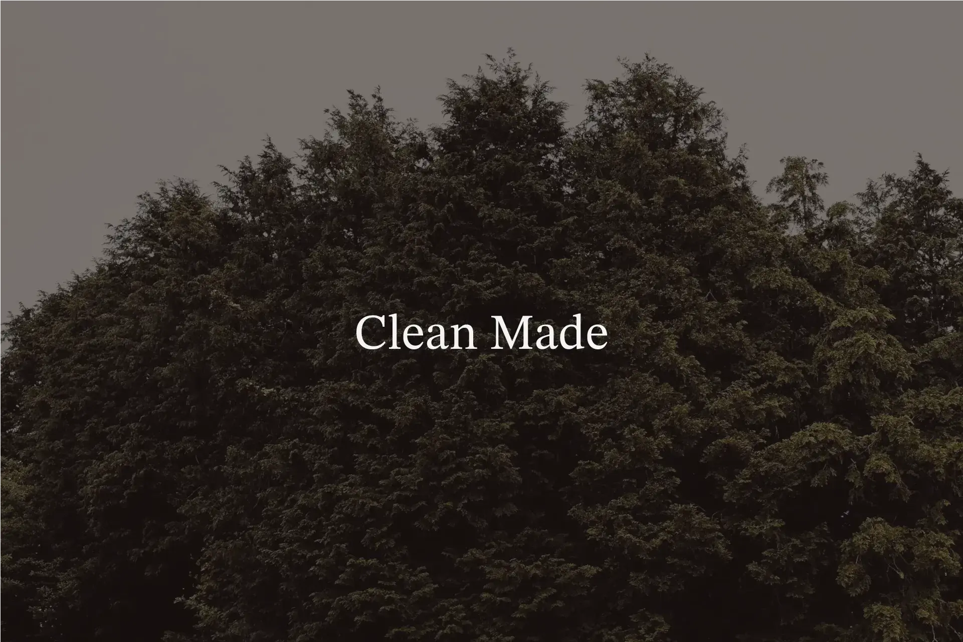 hinok | ヒノック