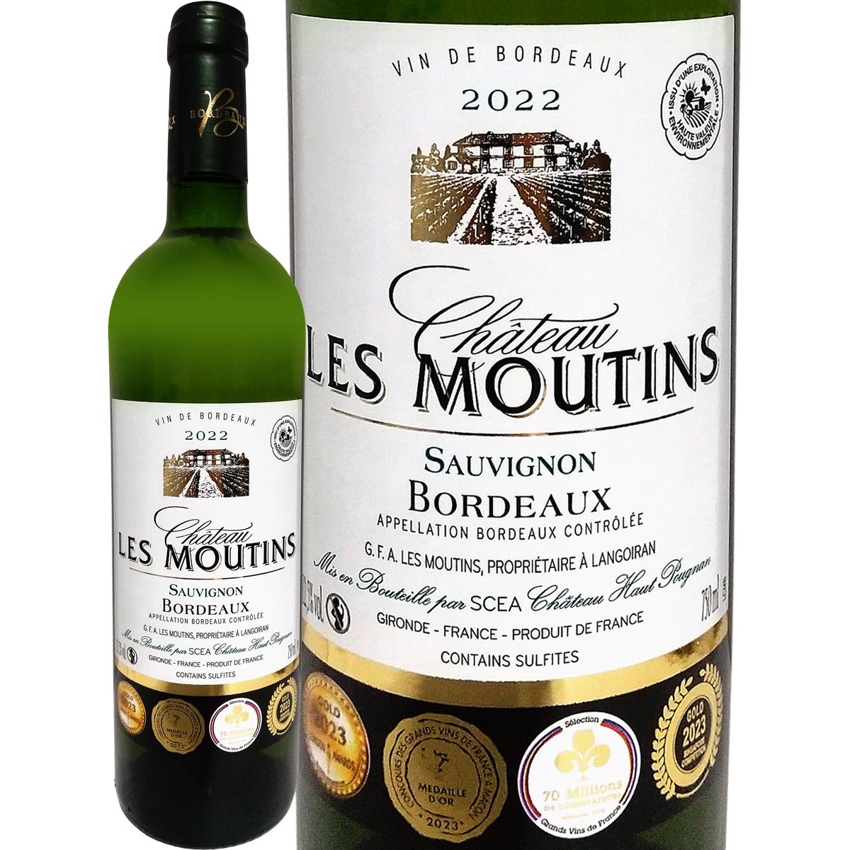 シャトー・レ・ムータン・ブラン 2022 | 種類別に探す,白ワイン | 業務用ワイン卸仕入れ専門店EVAWINE