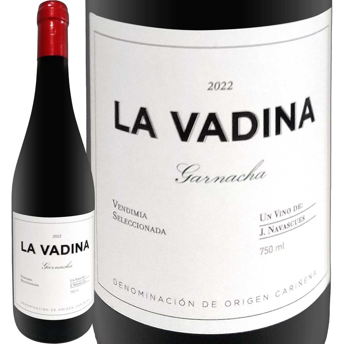 ラ・バディーナ・ガルナッチャ 2022 | 種類別に探す,赤ワイン | 業務用ワイン卸仕入れ専門店EVAWINE