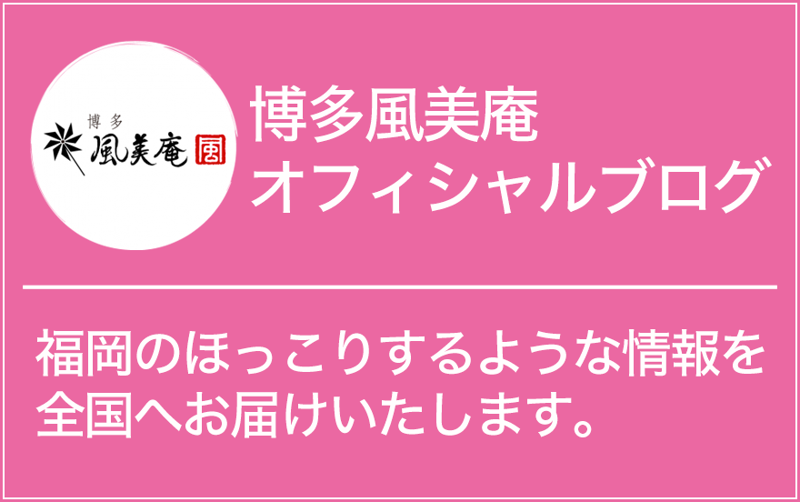 Kyle Bosman On Leaving Easy Allies And His Future Plans - YouTube