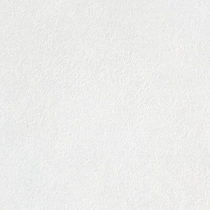 サンゲツ Naturescape 13色 TH32001～TH32013 FAITH フェイス 2022-2025 生のり付き壁紙（購入単位 ...