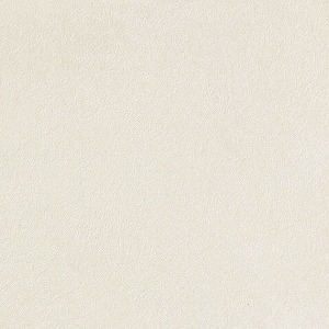 サンゲツ Naturescape 13色 TH32001～TH32013 FAITH フェイス 2022-2025 生のり付き壁紙（購入単位 ...