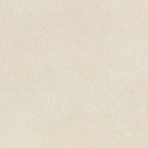 サンゲツ Naturescape 13色 TH32001～TH32013 FAITH フェイス 2022-2025 生のり付き壁紙（購入単位 ...