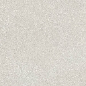 サンゲツ Naturescape 13色 TH32001～TH32013 FAITH フェイス 2022-2025 生のり付き壁紙（購入単位 ...