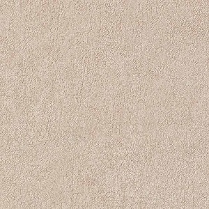 サンゲツ Naturescape 14色 TH32028～TH32041 FAITH フェイス 2022-2025 生のり付き壁紙（購入単位 ...