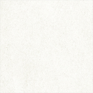 リリカラ スーパー強化+汚れ防止 ペット対応 18色 LL-6621～LL-6638 LIGHT（ライト） 2025-2028 生のり付き壁紙 （購入単位：m） 1本(1巻)最大30m | 壁 ...