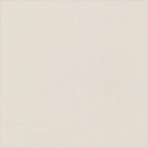 リリカラ スーパー強化+汚れ防止 ペット対応 18色 LL-6621～LL-6638 LIGHT（ライト） 2025-2028 生のり付き壁紙 （購入単位：m） 1本(1巻)最大30m | 壁 ...