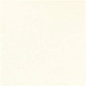 リリカラ スーパー強化+汚れ防止 ペット対応 18色 LL-6621～LL-6638 LIGHT（ライト） 2025-2028 生のり付き壁紙 （購入単位：m） 1本(1巻)最大30m | 壁 ...