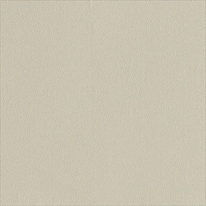 リリカラ スーパー強化+汚れ防止 ペット対応 18色 LL-6621～LL-6638 LIGHT（ライト） 2025-2028 生のり付き壁紙 （購入単位：m） 1本(1巻)最大30m | 壁 ...