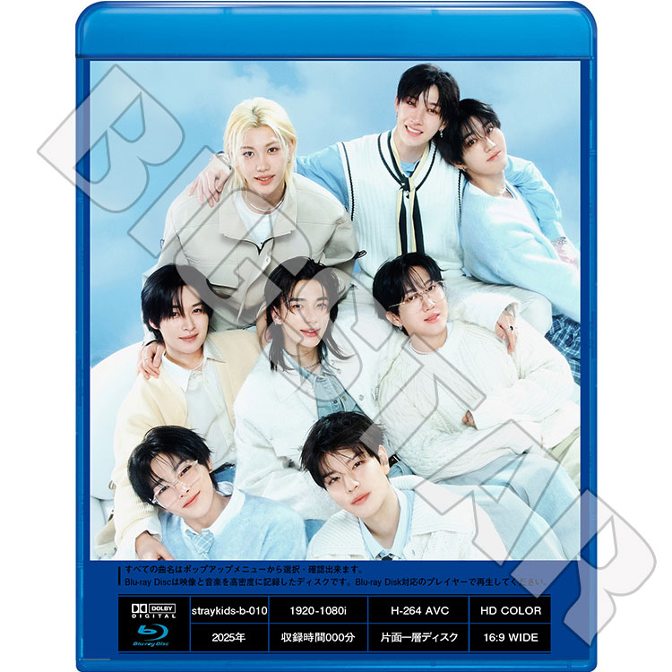 Blu-ray STRAY KIDS CUT 2021-2024 Music Awards K-POP ブルーレイ Stray Kids スト ...
