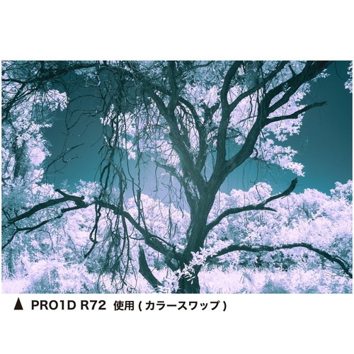 【10%OFFクーポン対象】【即配】 72mm PRO1D R72 N フィルター ケンコー KENKO 撮影用フィルター【ネコポス便送料無料】 | レンズフィルター,ケンコー フィルター ...