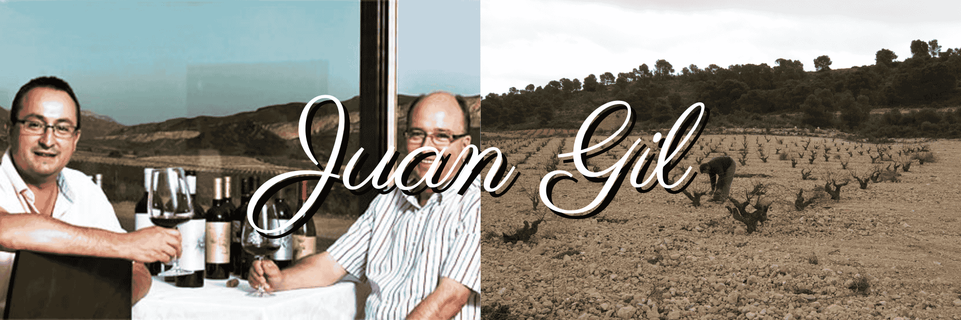 生産者から探す,フアン・ヒル（Juan Gil）｜HOSPITALITY WINE｜あらゆる場面に寄り添うワイン専門通販