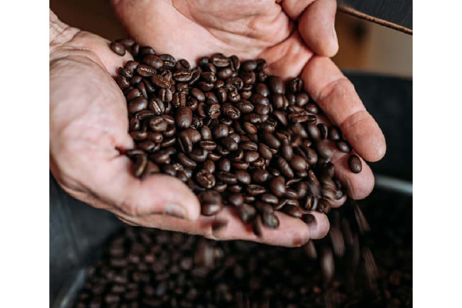 【カフェ呂久呂】カフェオレベース 無糖 250ml | カテゴリー一覧,コーヒー | PERIE Online powered by Onion