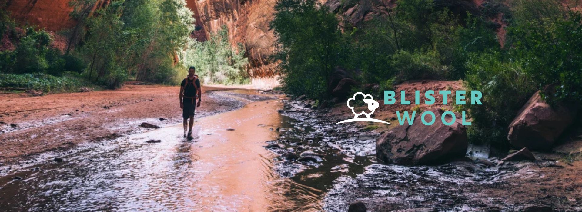BRAND,BLISTER WOOL | PLUGFLUX
