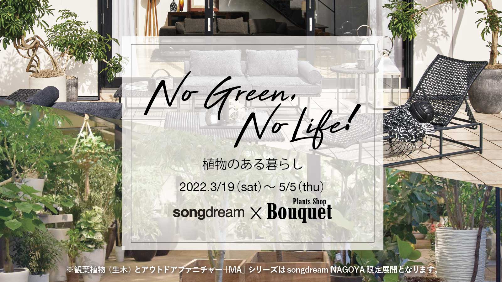 songdream onlinestore | No Green No Life