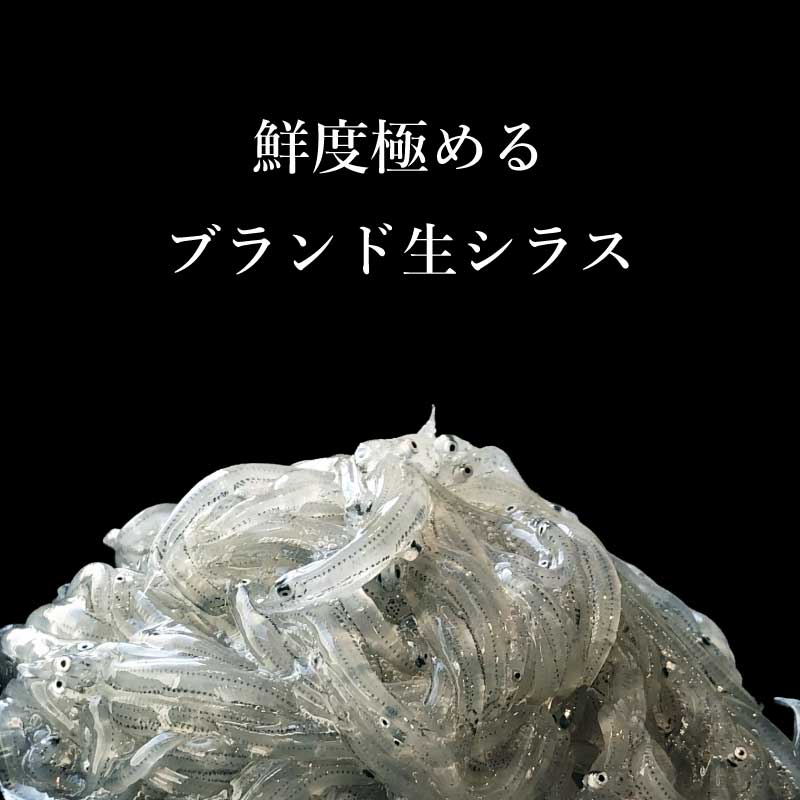 【冷凍食品専門店】TOMIN FROZEN (トーミンフローズン)