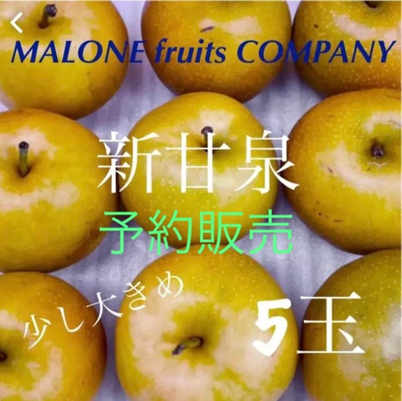 【マロンカンパニー】ほんの少し訳あり 新甘泉 5玉 2kg（鳥取県八東産） ｜鳥取の特産品お取り寄せ通販｜とっとり市（いち）
