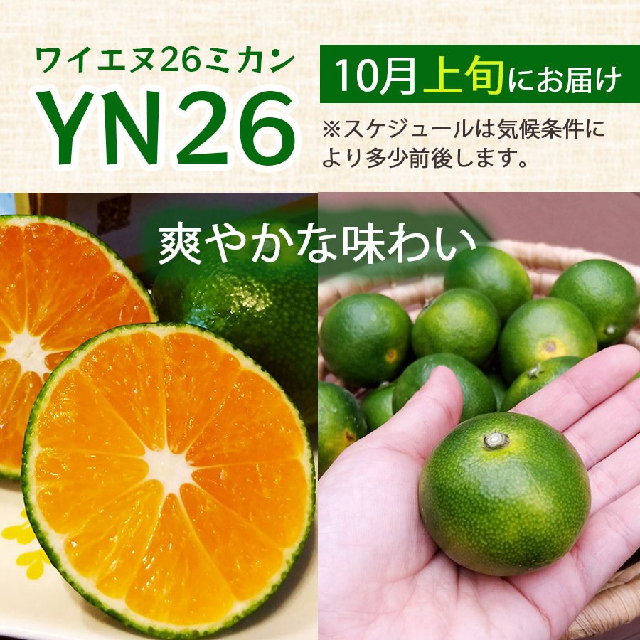 和歌山 温州みかん 5kg 極早生みかん ゆら早生 YN26 贈答用 本場有田みかん 甘い 3S~2S 化学肥料不使用【本州四国九州/送料無料】 ｜ お得に買えるドラッグストア わごんせるの通販